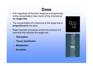 Drug Biochemistry L2.pdf