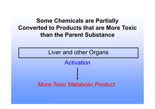 Drug Biochemistry L2.pdf