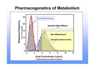 Drug Biochemistry L2.pdf