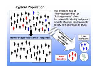 Drug Biochemistry L2.pdf