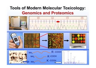 Drug Biochemistry L2.pdf