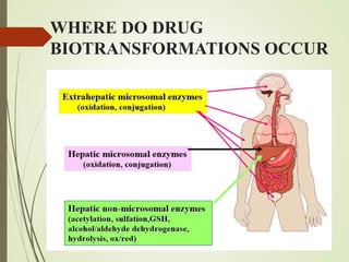 Drug biotransformation | PPTX