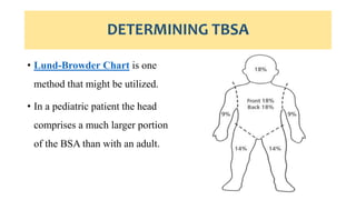 Drug dosage and IV fluid calculation for pediatric | PPTX