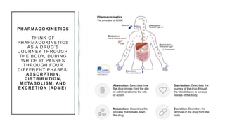 DRUG ACTION- NURSING FOUNDATIONS.pptx