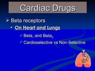Drug Classifications | PPT