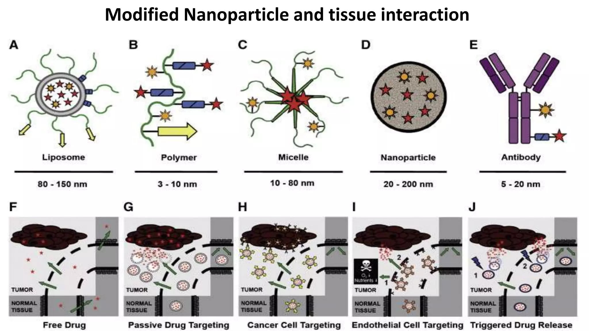 Drug delivery and nanomedicine with nanomagnetic material | PPTX