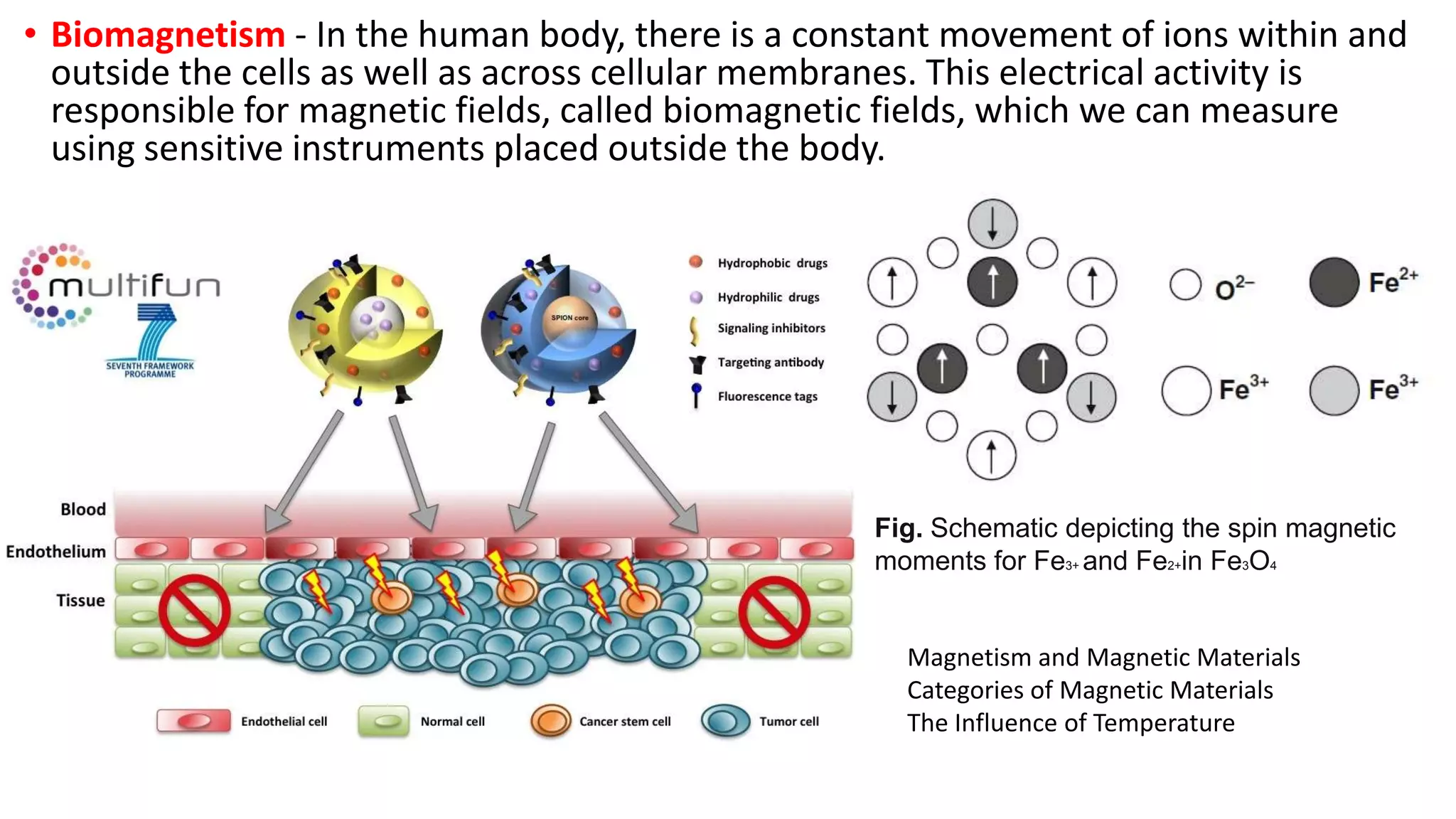 Drug delivery and nanomedicine with nanomagnetic material | PPTX
