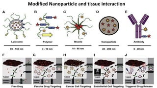 Drug delivery and nanomedicine with nanomagnetic material | PPTX