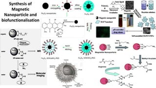 Drug delivery and nanomedicine with nanomagnetic material | PPTX