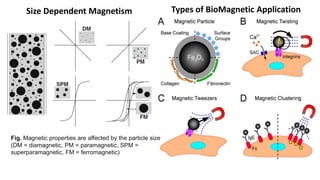Drug delivery and nanomedicine with nanomagnetic material | PPTX