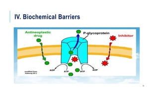 Drug delivery barriers | PPTX