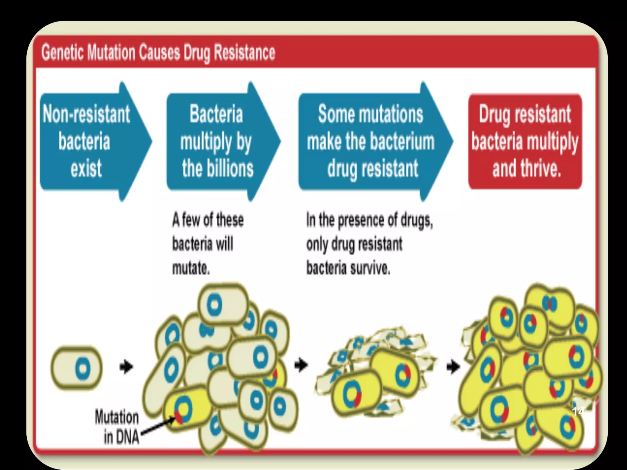 Drug delivery strategies for combating multiple drug resistance | PPT