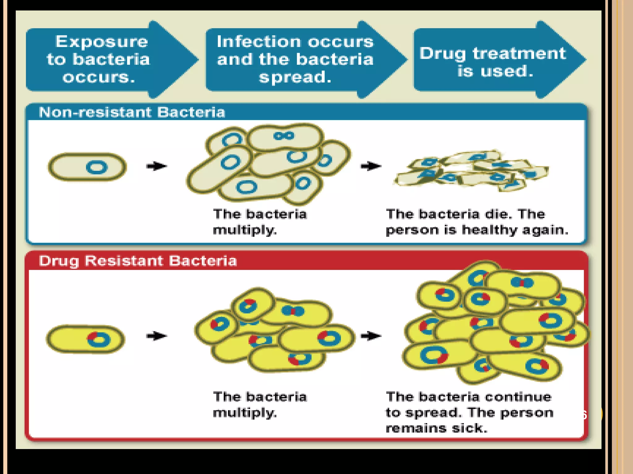 Drug delivery strategies for combating multiple drug resistance | PPT