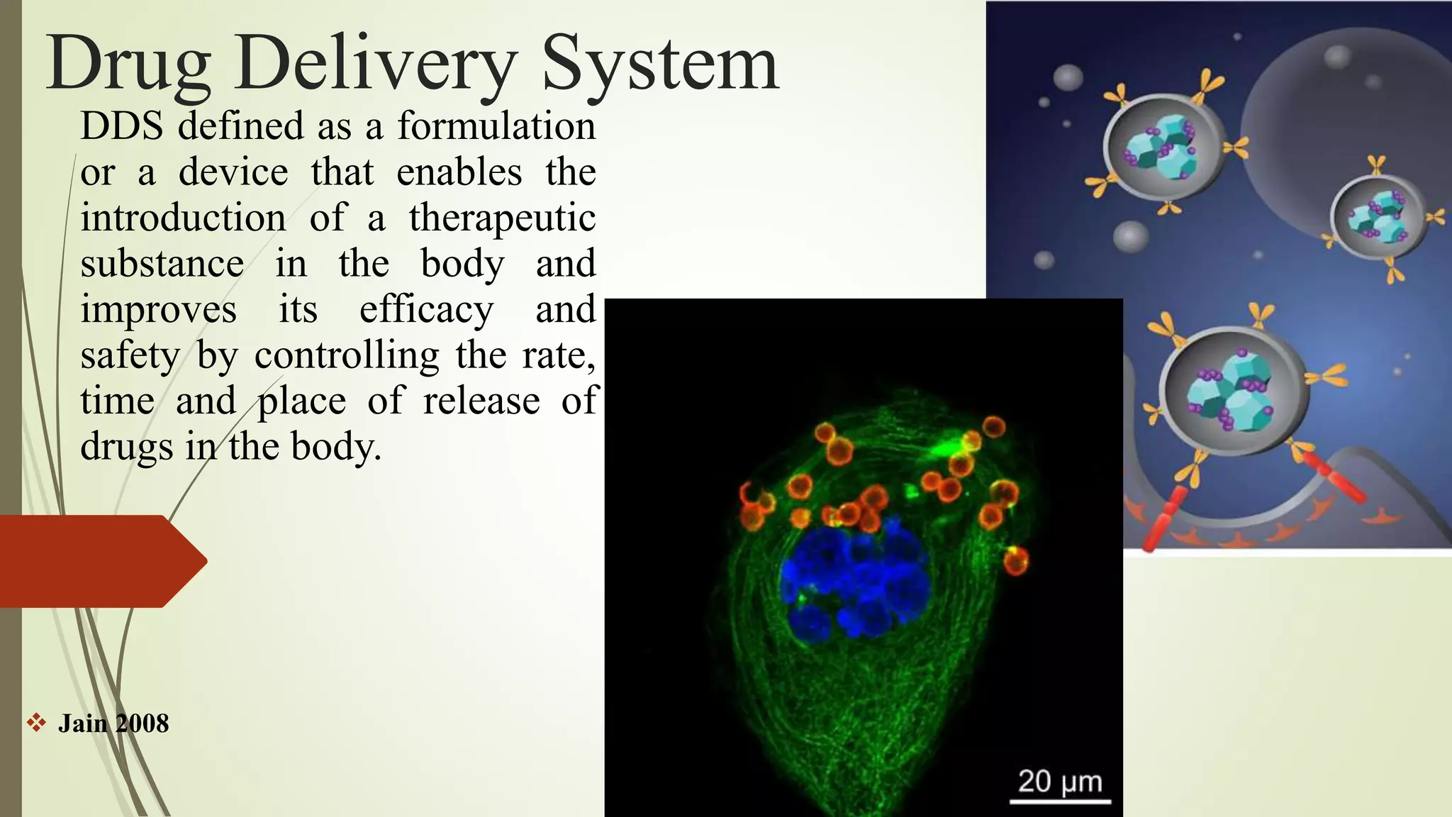 Drug delivery system | PPTX