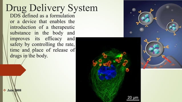Drug delivery system | PPTX | Pharmaceutical Industry | Industries