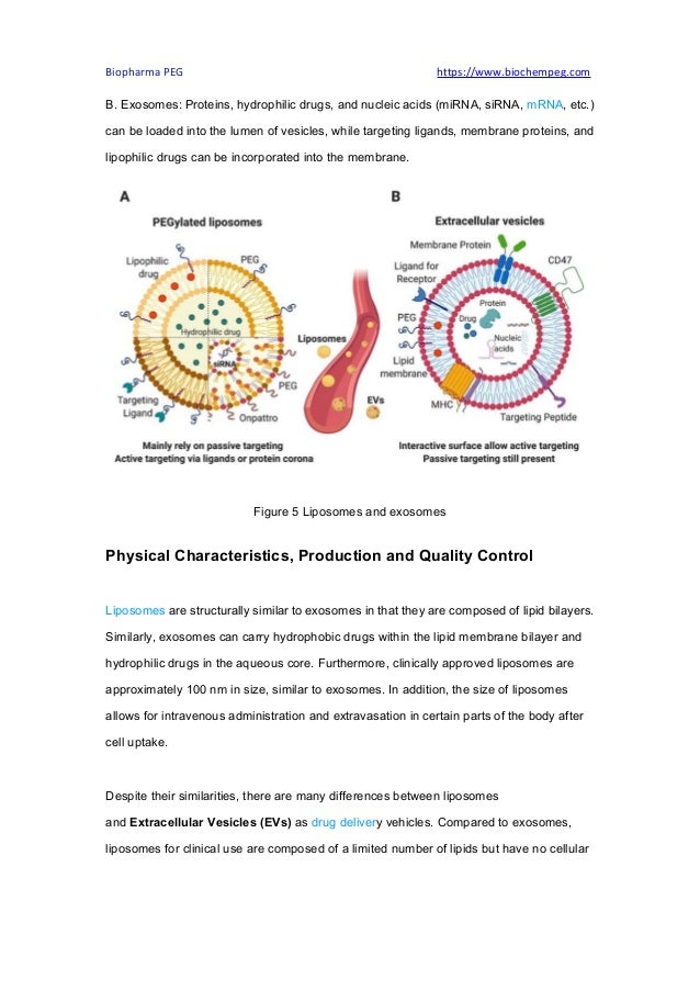 Drug Delivery Systems Exosomes VS Liposomes.pdf