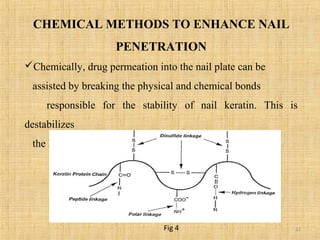 Drug delivery to nail | PPT