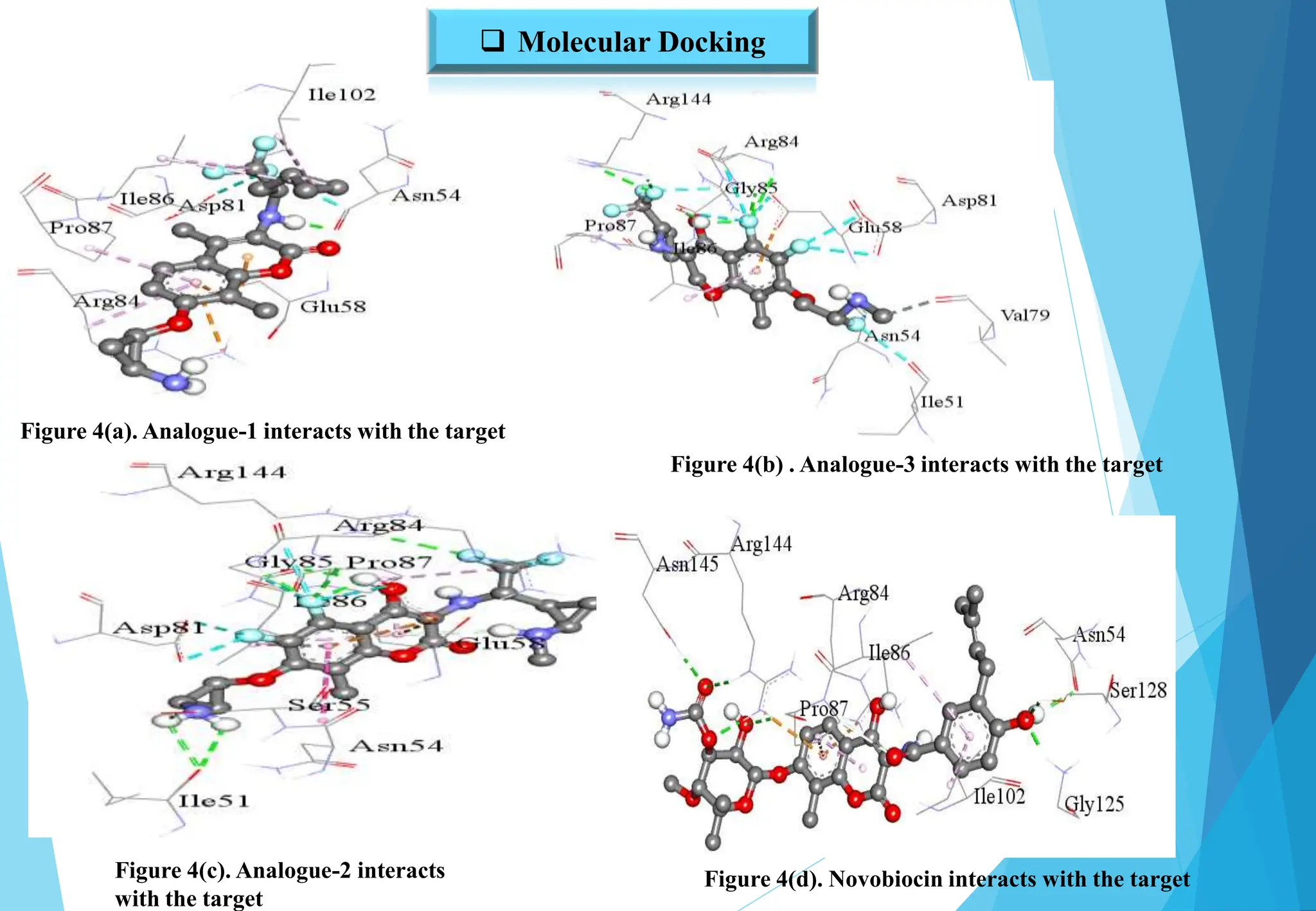 In silico drugs analogue design: novobiocin analogues.pptx
