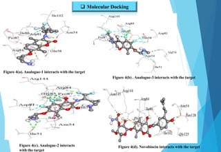 In silico drugs analogue design: novobiocin analogues.pptx