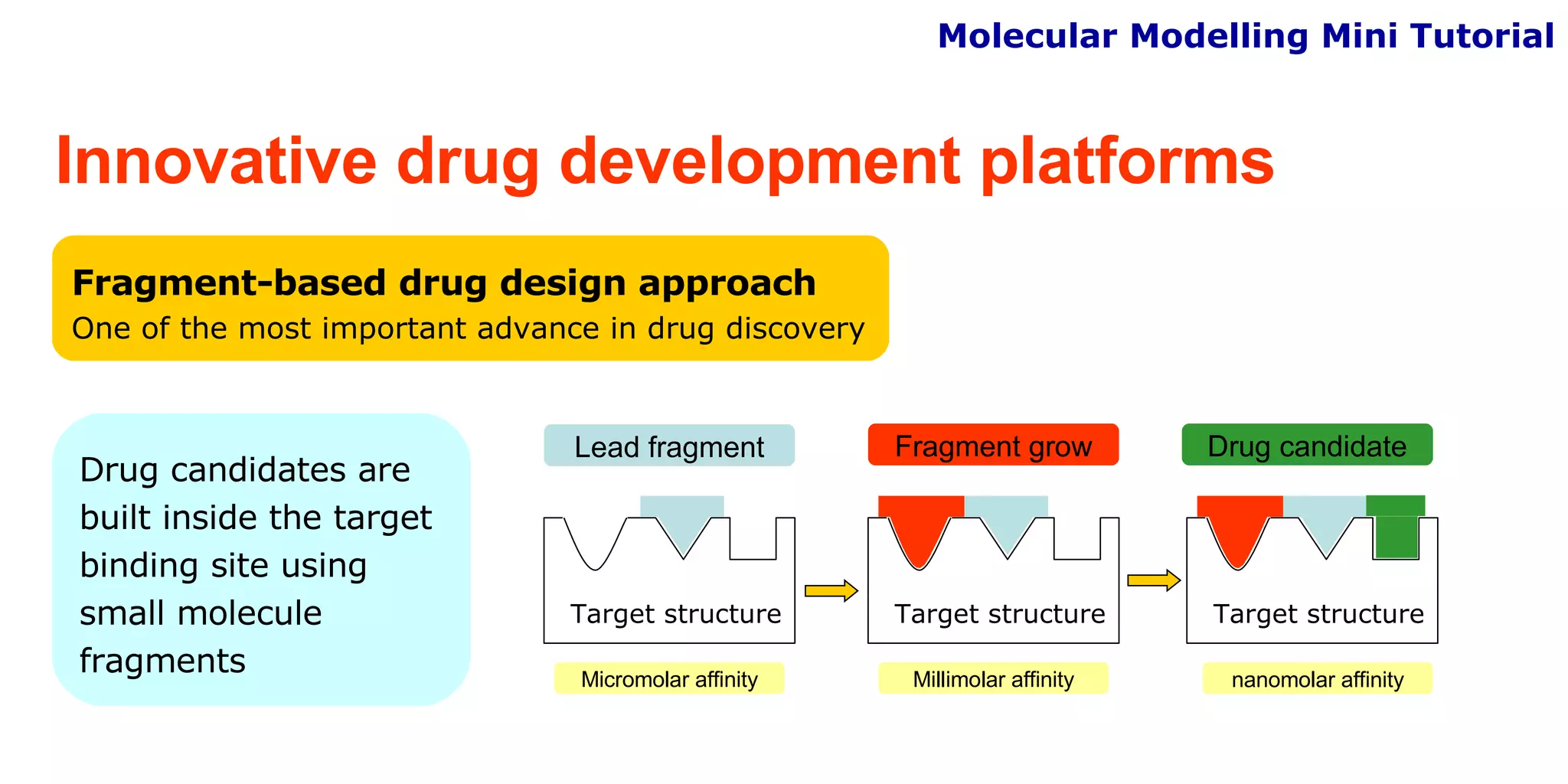 Structure Based Drug Design | PPT