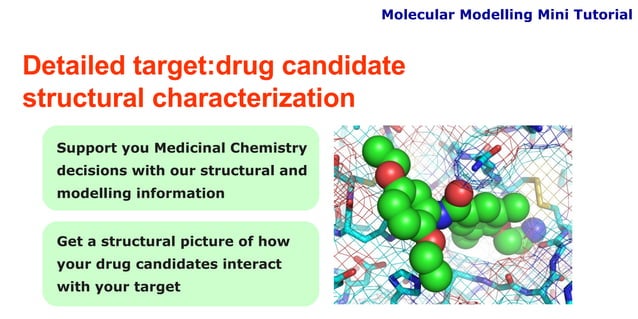 Structure Based Drug Design | PPT