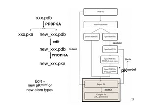 Drug Design and pH | PDF
