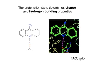 Drug Design and pH | PDF