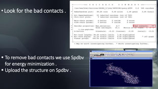 In Silico Drug Designing | PPTX