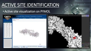 In Silico Drug Designing | PPTX