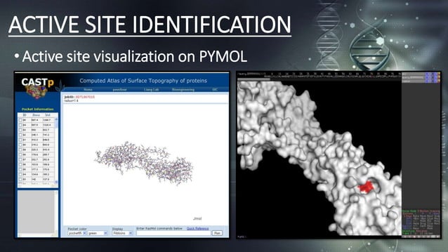 In Silico Drug Designing | PPTX