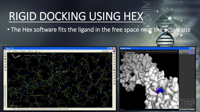 In Silico Drug Designing | PPTX