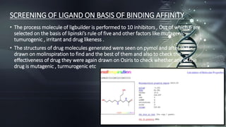 In Silico Drug Designing | PPTX