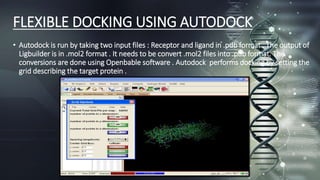 In Silico Drug Designing | PPTX