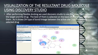 In Silico Drug Designing | PPTX