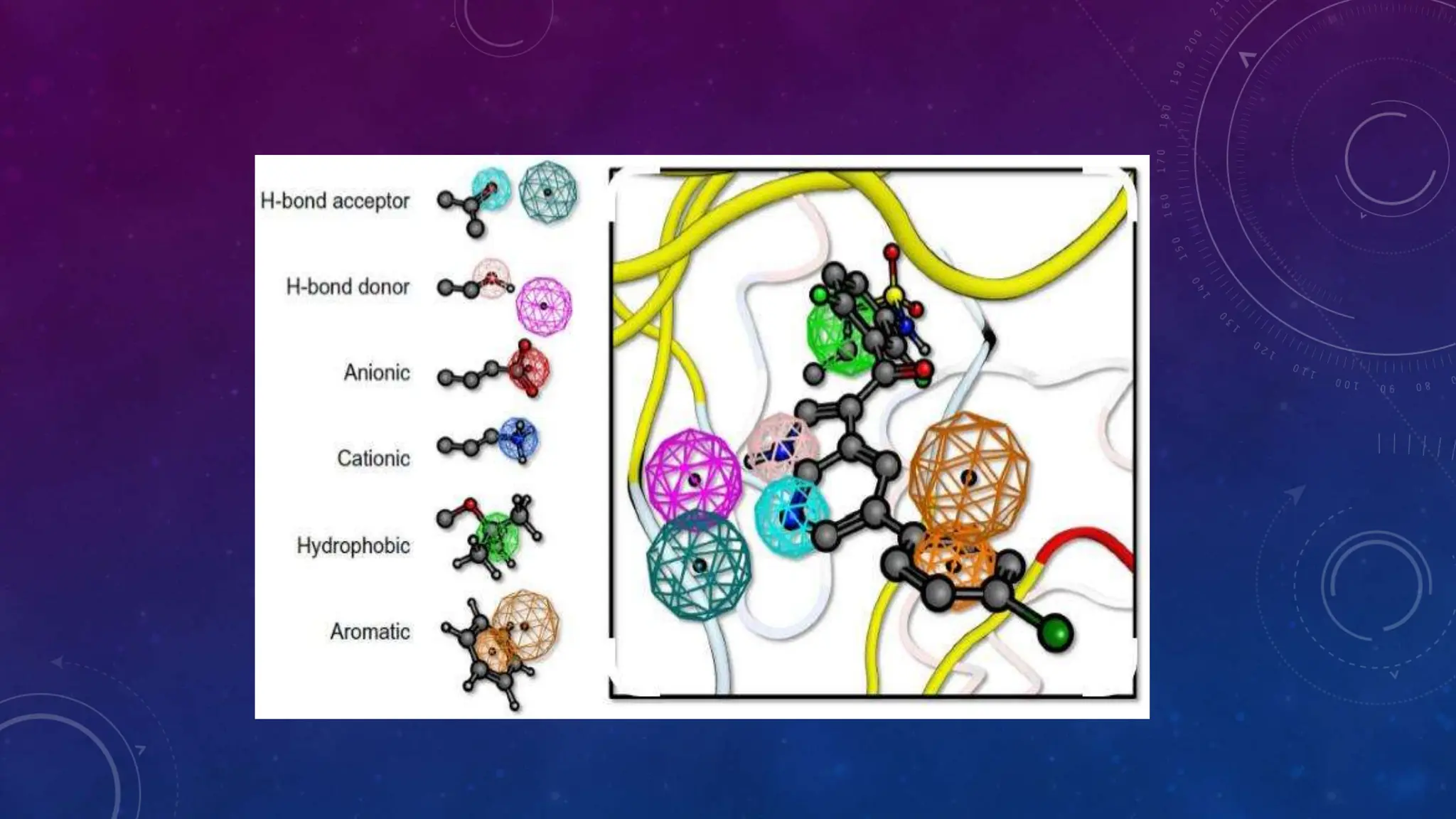 drug designing- structure based designing,3D pharmacophore ...