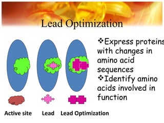 Computer aided Drug designing (CADD) | PPT