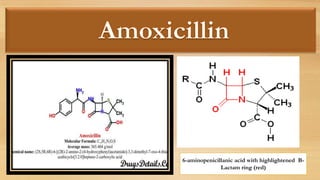 Drug design presentation. amoxils | PPT