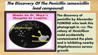 Drug design presentation. amoxils | PPTX