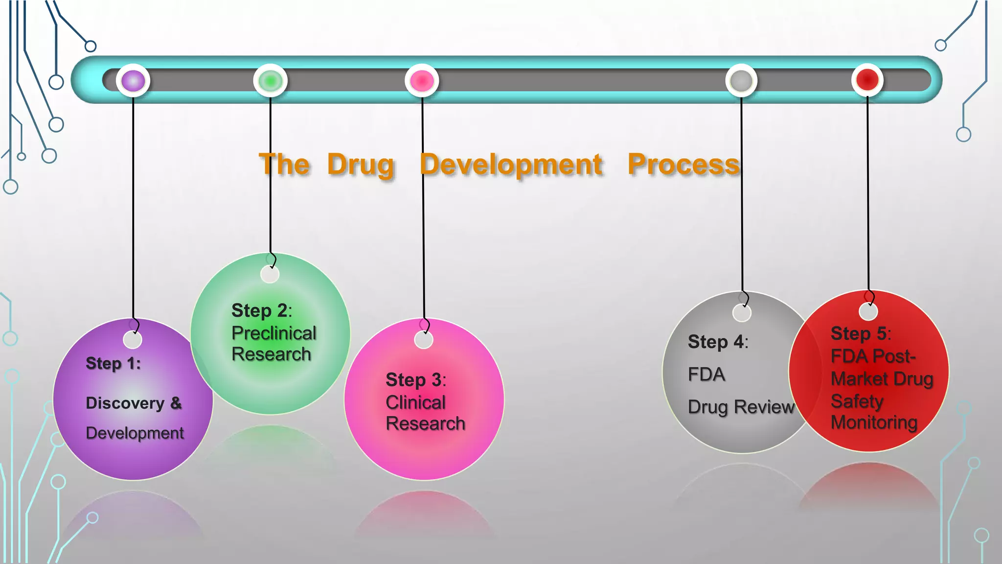 DRUG DEVELOPMENT PROCESS ! | PPT