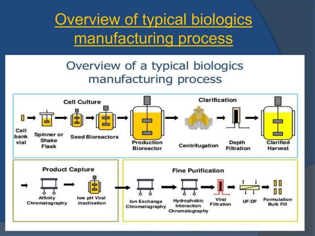 Drug development and discovery in biologics | PPTX