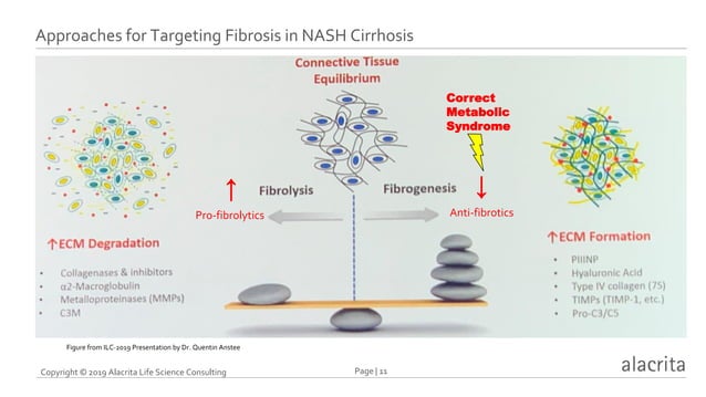 Drug Development in Nash Cirrhosis by Dr. Peter G. Traber, Sept 2019 | PPT