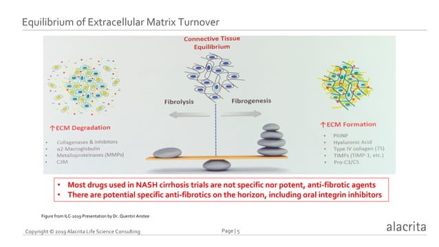 Drug Development in Nash Cirrhosis by Dr. Peter G. Traber, Sept 2019 | PPT
