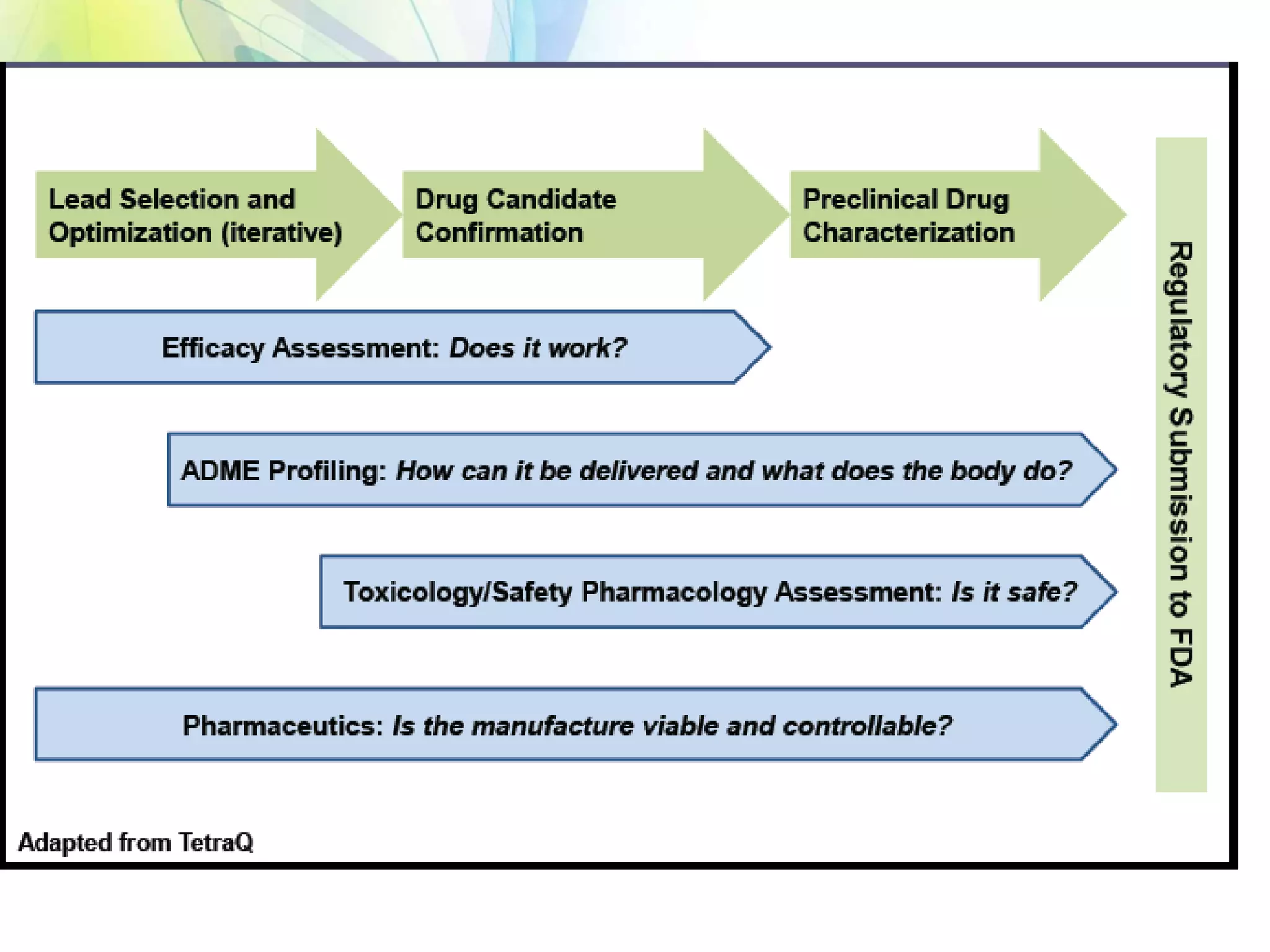 Drug development process | PPTX