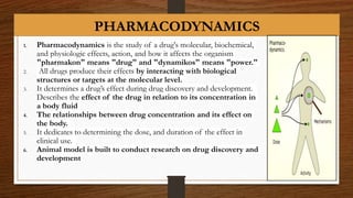 Drug Development Process | PPTX