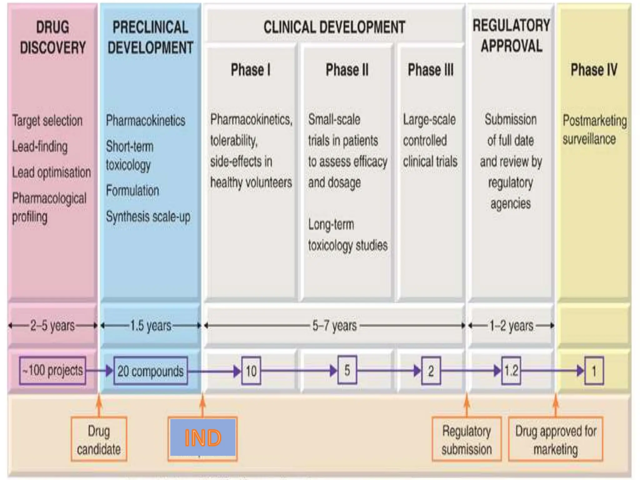 DRUG DEVELOPMENT and discovery and preclinical trails | PPTX ...
