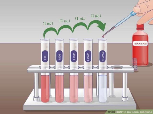 Drug dilutions & concentrations | PPTX