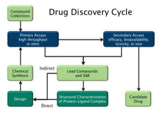 Drug discovery and development | PPTX