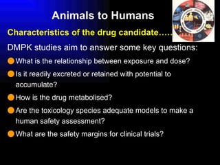 Drug Discovery & Development Overview | PPT