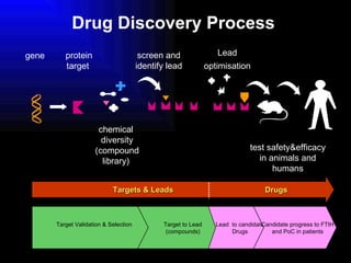 Drug Discovery & Development Overview | PPT