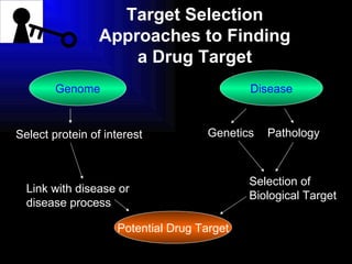 Drug Discovery & Development Overview | PPT